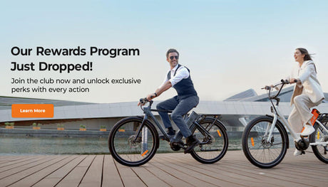 Cargo E-Bike: Ihr ultimativer Leitfaden für das Transportwunder auf ...